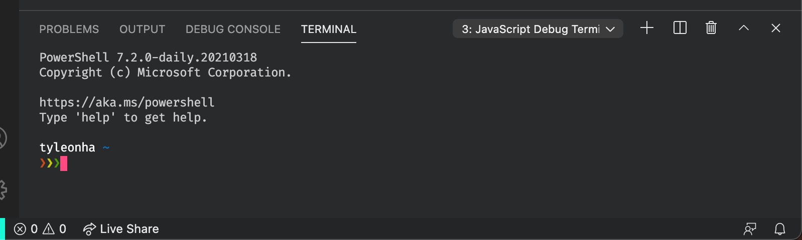 JS debug terminal broke when we merged in quick profiles · Issue ...