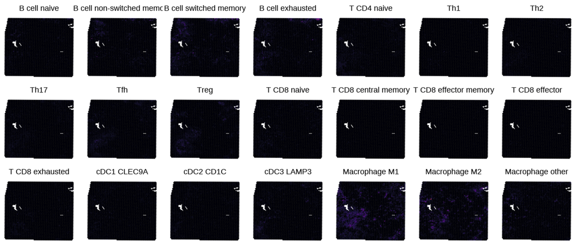 Question : celltype per spot · Issue #9 · data2intelligence/SpaCET · GitHub