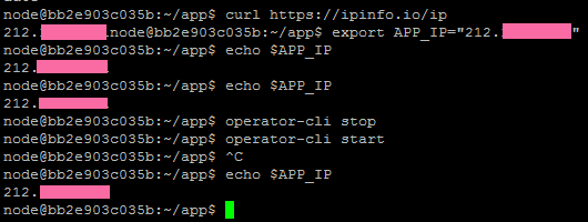 Validator Stopped Error ```Fatal: Node cannot join with invalid external IP: 0.0.0.0``` · Issue ...