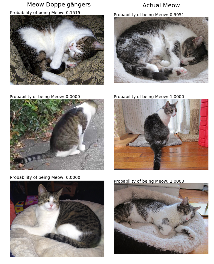 GitHub - drlarue/meow-or-not: Playing with computer vision techniques ...
