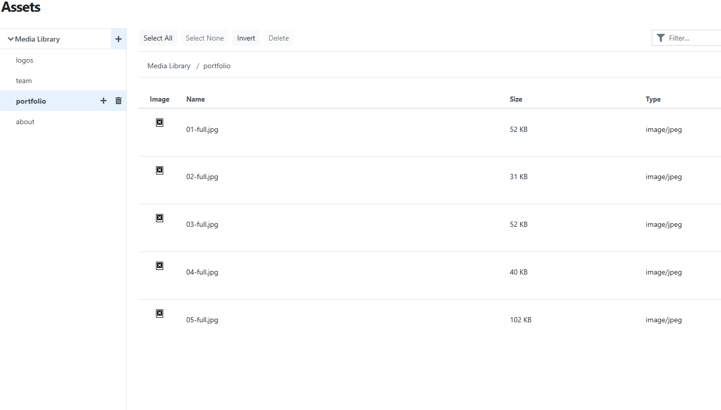 Images (Assets) Disappear with The Agency Theme · Issue #4419 ...