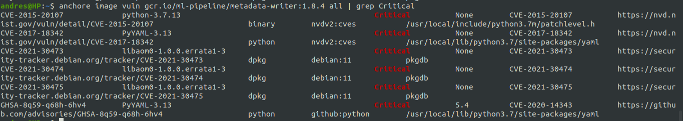 Critical Cves Found In Ml Pipelinemetadata Writer184 · Issue 