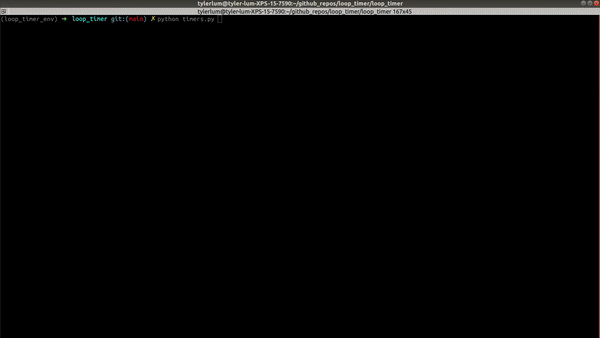 GitHub - tylerlum/clean_loop_timer: Easy-to-use timer for profiling ...