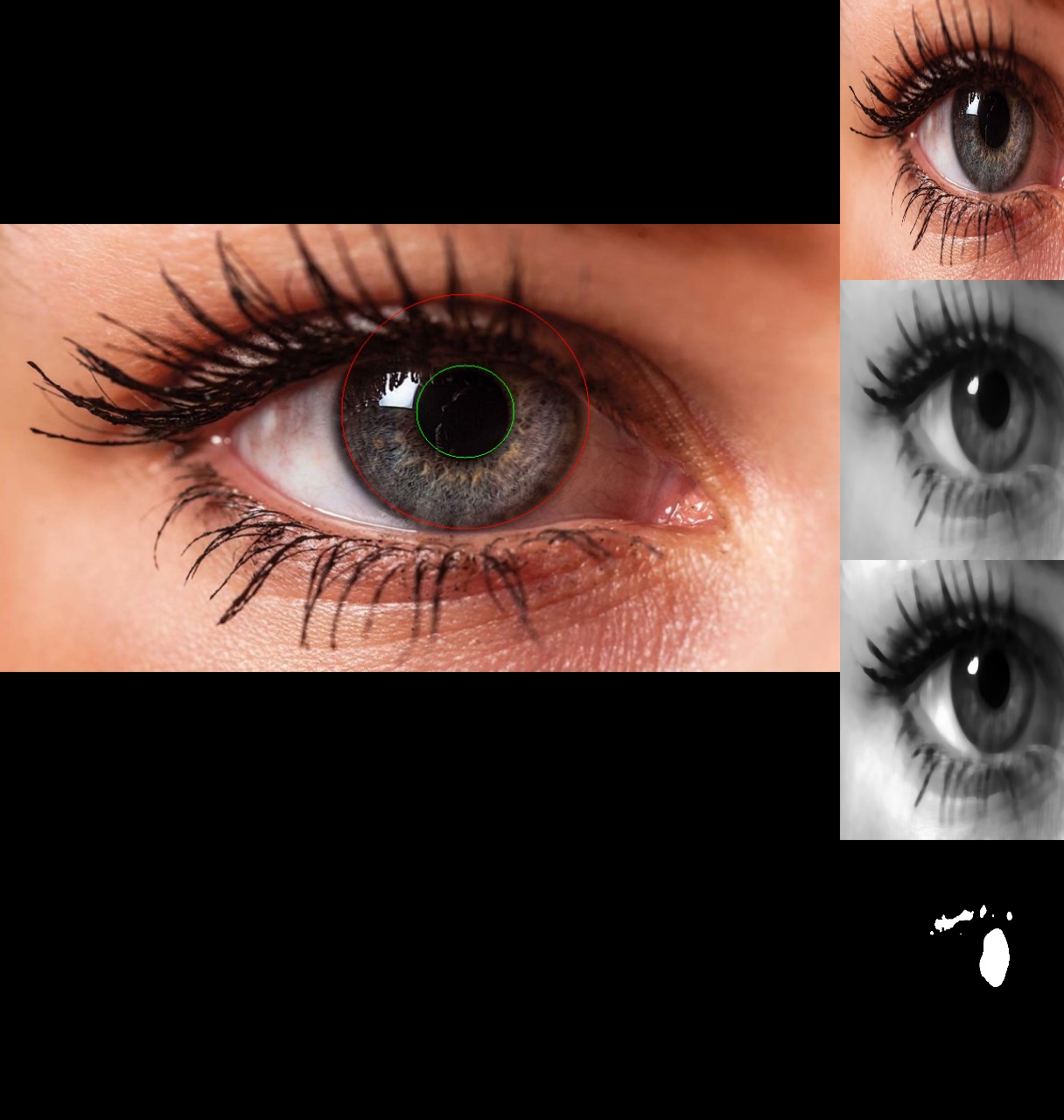 GitHub - anmolduainter/Pupil-Dilation