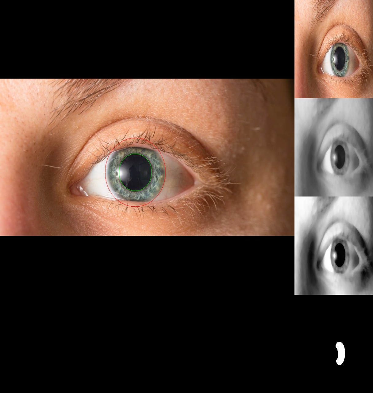 GitHub - anmolduainter/Pupil-Dilation