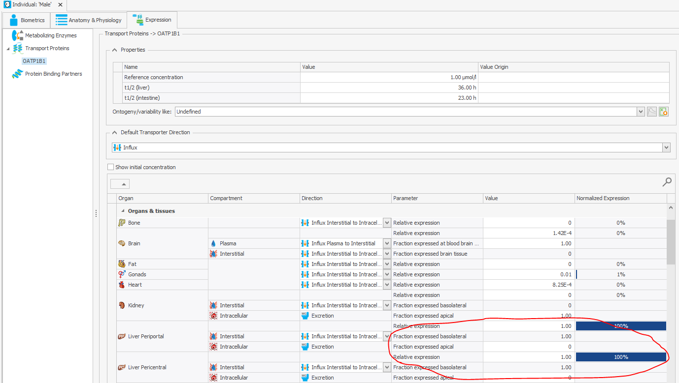 PK-Sim 10: Snapshot export/import switches sides of expression for influx transporters · Issue ...