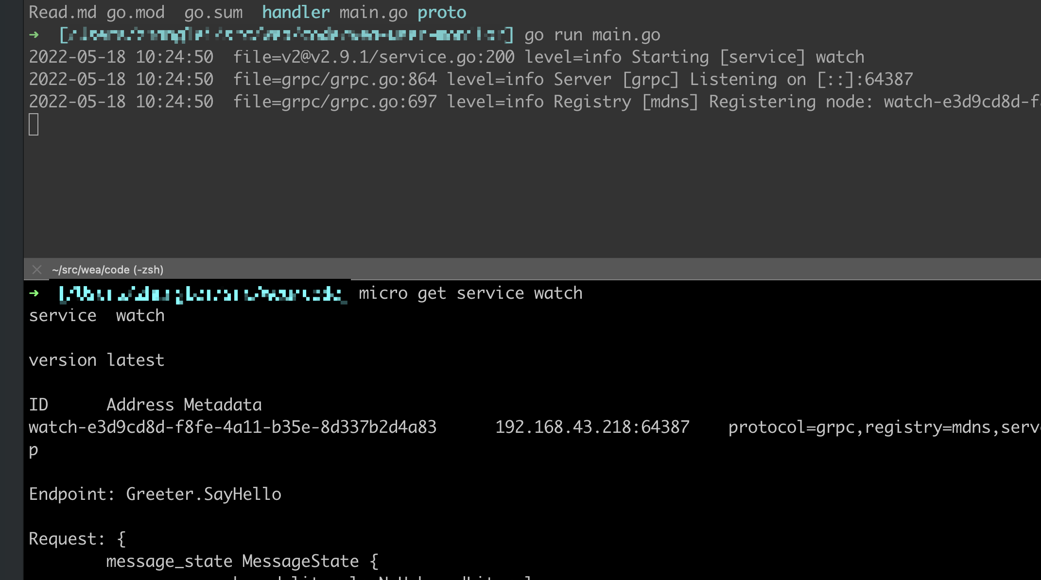Help Request Grpc Transcode Plugin Can T Proxy The Grpc Service