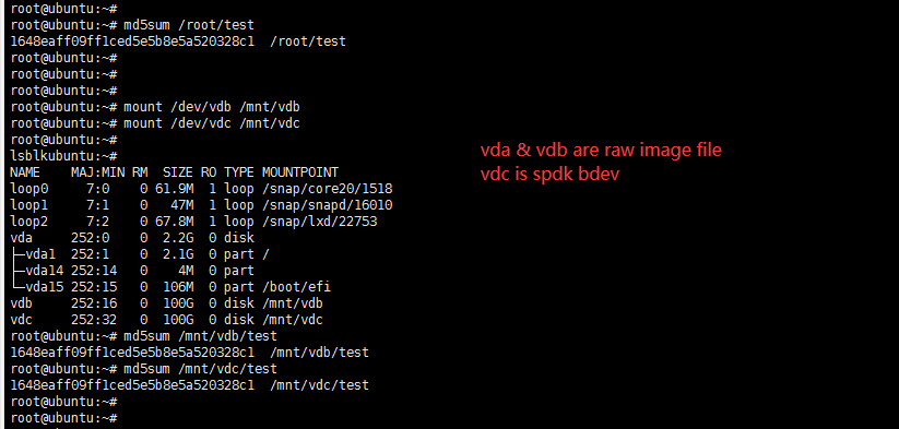 VM can't boot from spdk bdevs · Issue #4285 · cloud-hypervisor/cloud-hypervisor · GitHub