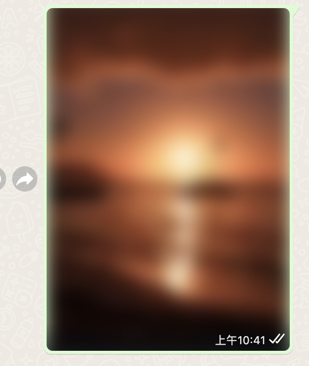 The Picture Is Blurred After Sending · Issue 2033 · Pedroslopez 