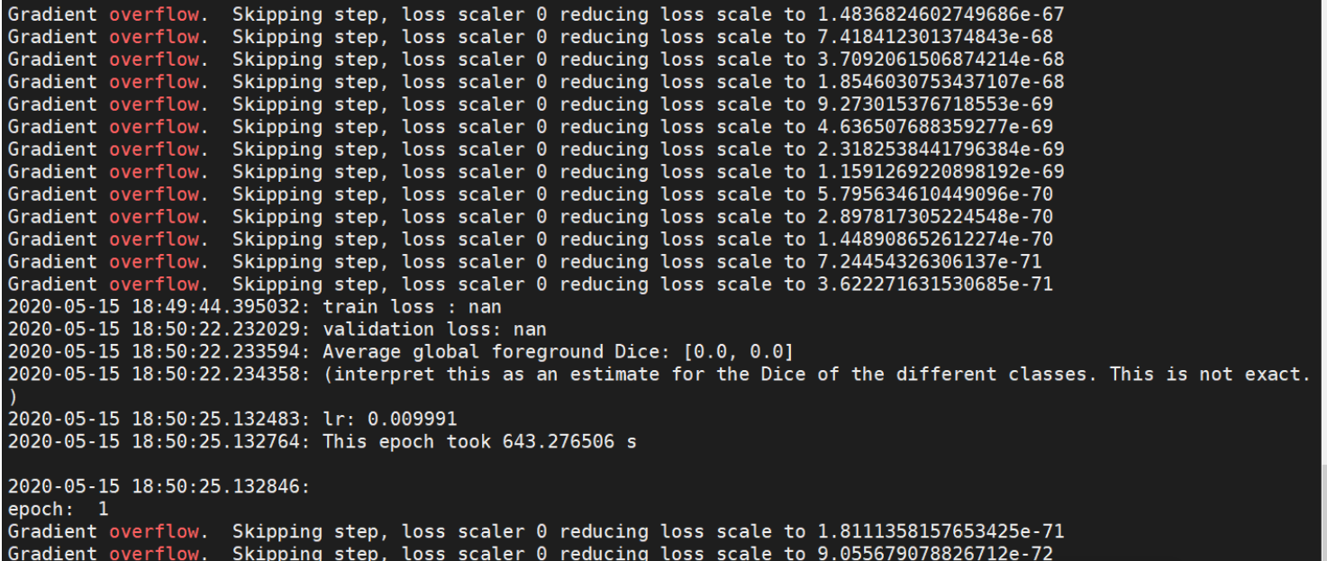 Error while training · Issue #172 · MIC-DKFZ/nnUNet · GitHub