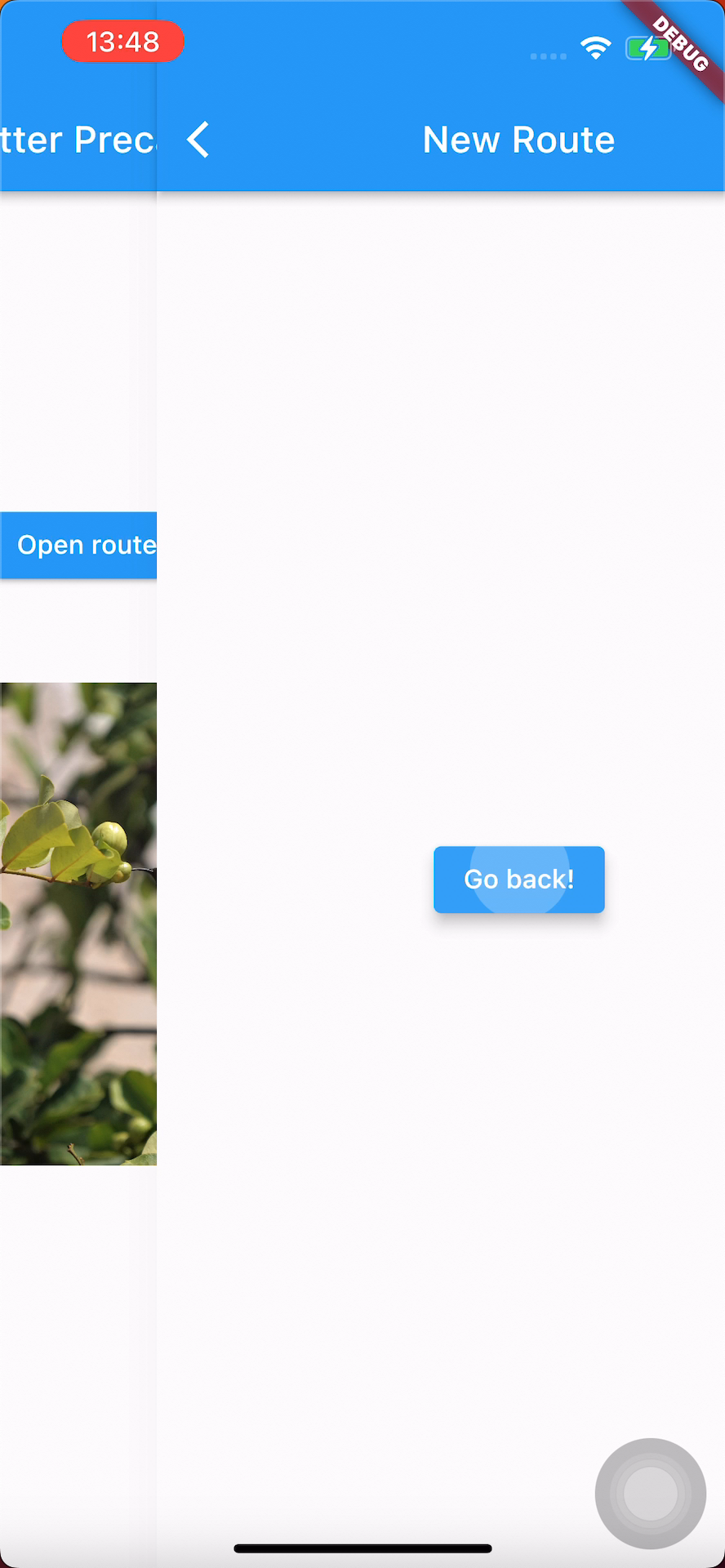 Going back to the previous route, images should not be redrawn · Issue #124382 · flutter/flutter ...