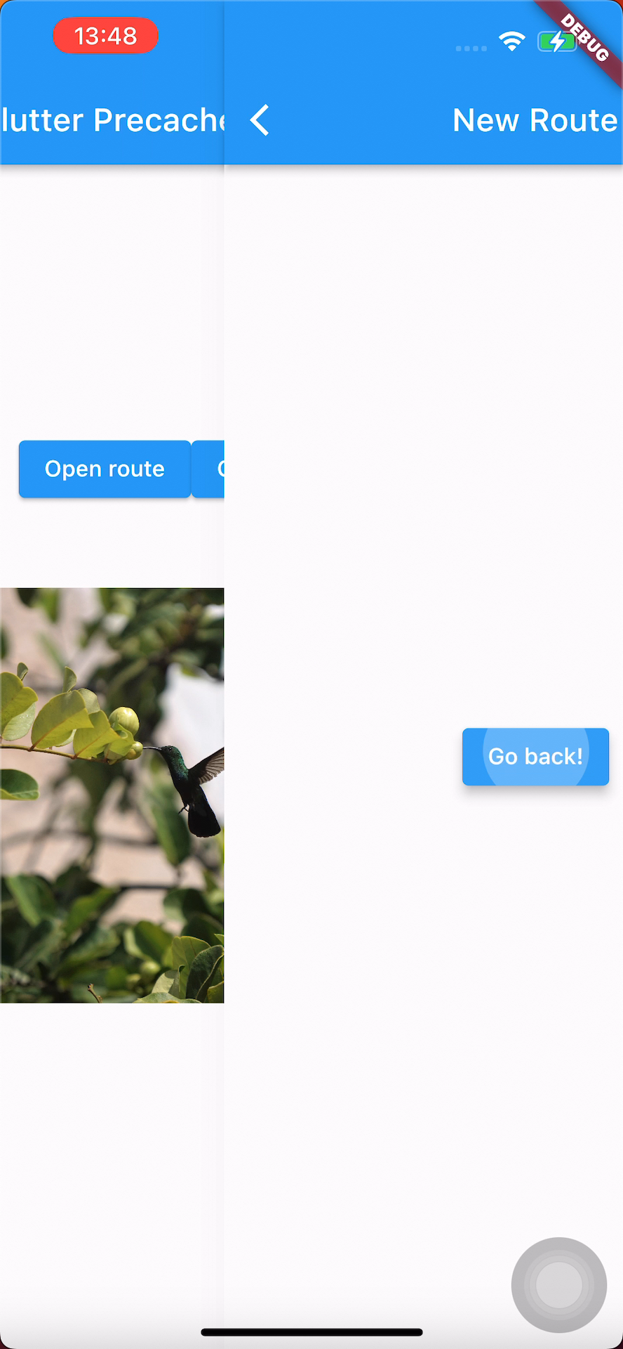 Going back to the previous route, images should not be redrawn · Issue #124382 · flutter/flutter ...