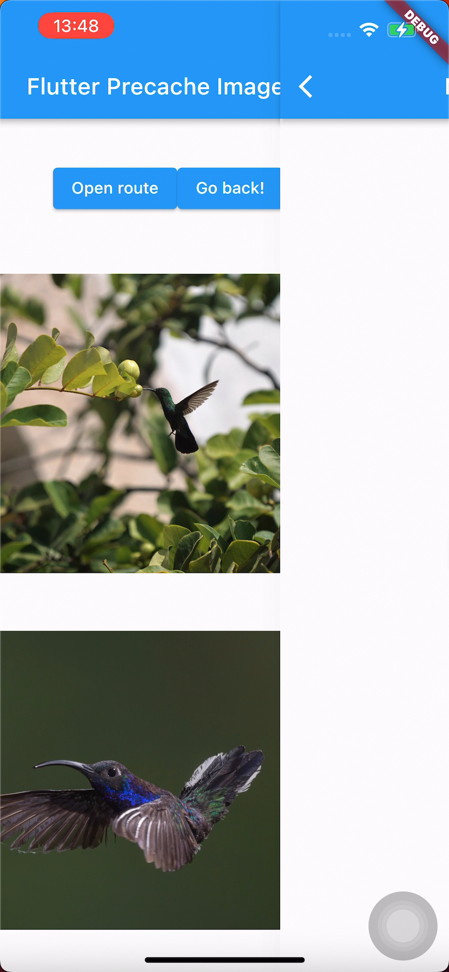 Going Back To The Previous Route Images Should Not Be Redrawn · Issue 124382 · Flutterflutter