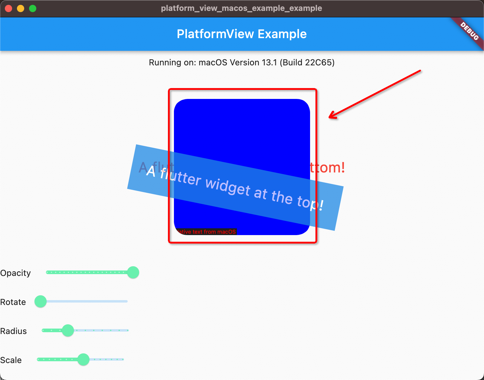 [macos][platform View] Click Event Was Not Dispatched To Platformview · Issue 124492 · Flutter