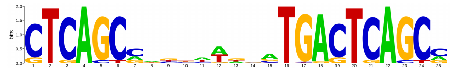 GitHub - Tinkidinki/dna-sequence-classification: To classify sequences ...