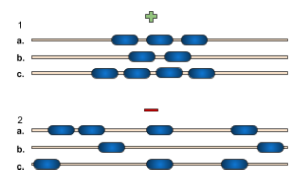 GitHub - Tinkidinki/dna-sequence-classification: To classify sequences ...