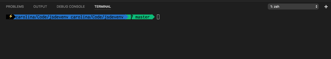 Integrated terminal ZSH prompt doubles and flashes as I type · Issue ...