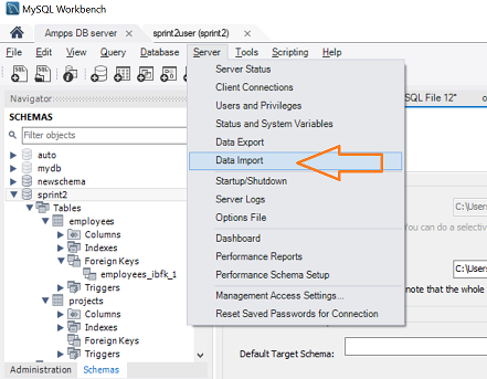 GitHub - giezele/Project-manager: PHP Sprint 2. CRUD application