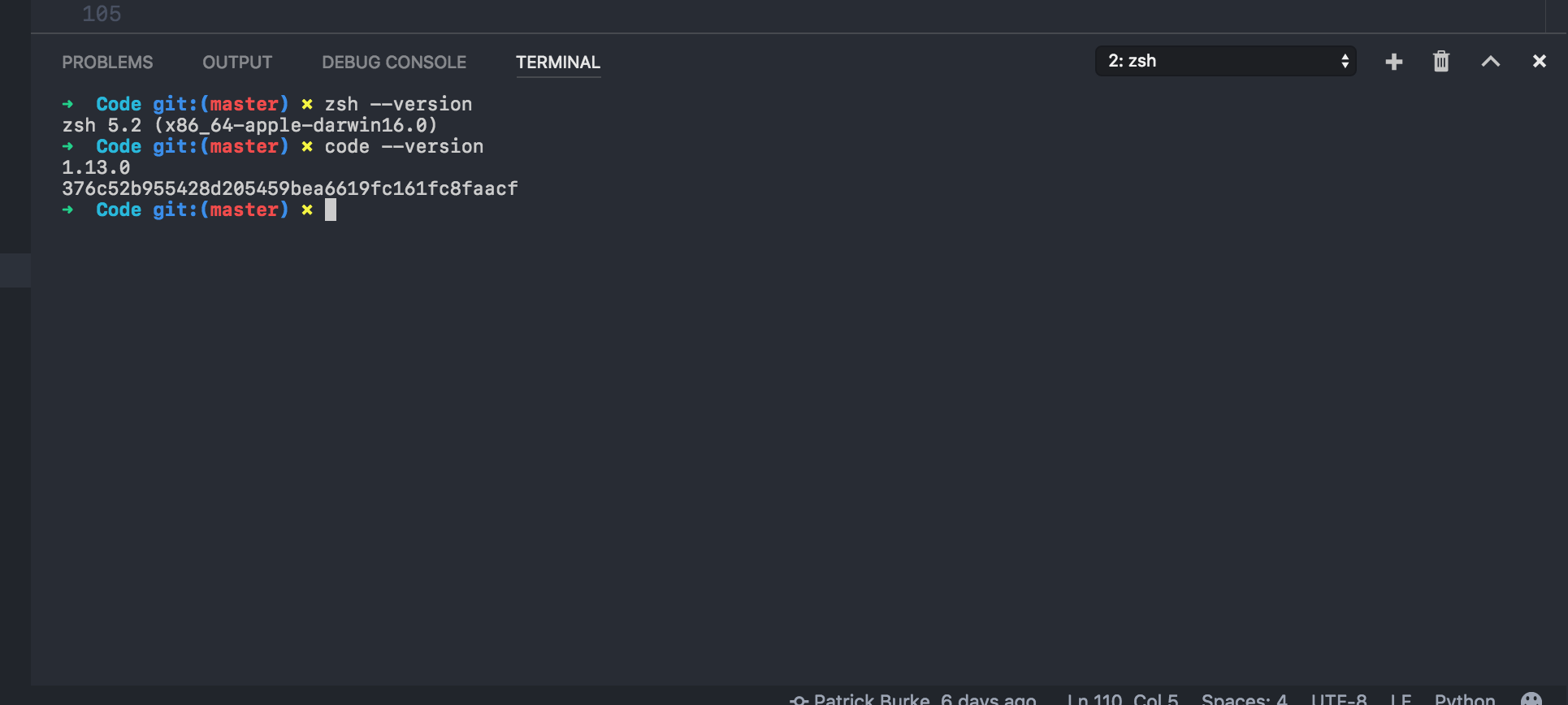 Terminal/Console Broken for ZSH · Issue #28451 · microsoft/vscode · GitHub
