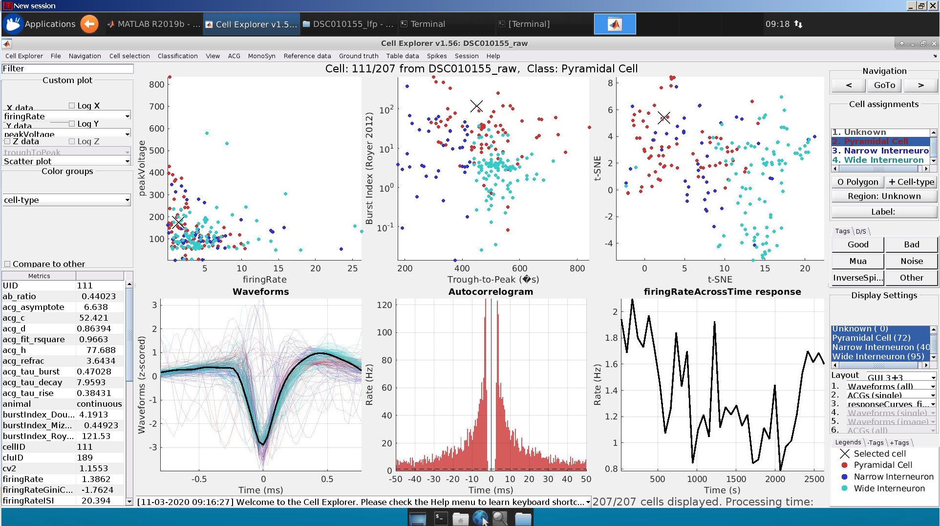monosynaptic connections wrongly identified · Issue #3 · petersenpeter/CellExplorer · GitHub