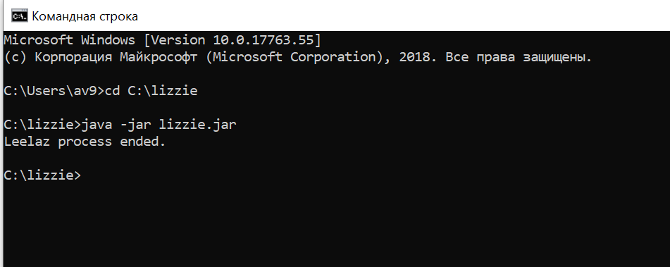 Lizzie does not Run on Win 10 :( · Issue #406 · featurecat/lizzie · GitHub