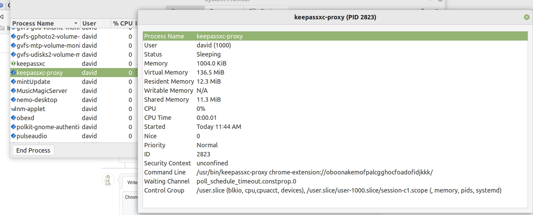 Keepassxc not connecting (Brave Browser) · Issue #1669 · keepassxreboot/keepassxc-browser · GitHub