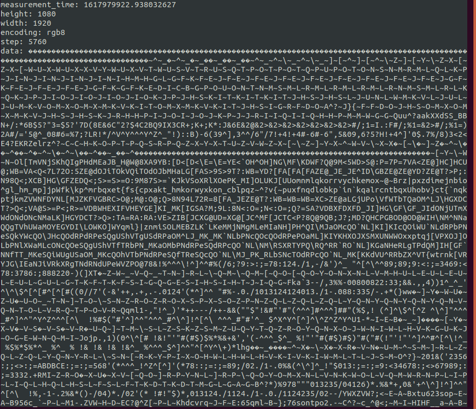 How to decode the rgb8 image file to opencv format? · Issue #13676 ...