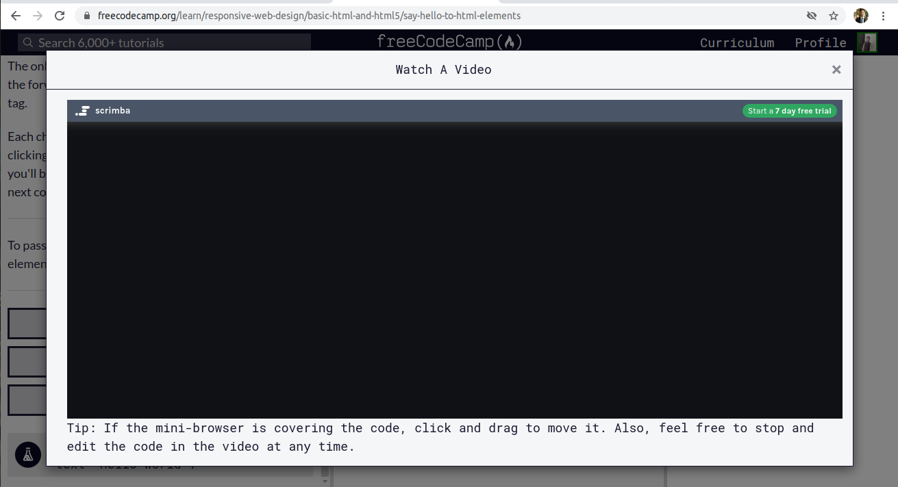 Scrimba's watch a video embed isn't working · Issue #39914 · freeCodeCamp/freeCodeCamp · GitHub