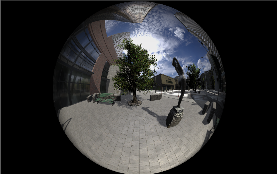 Fisheye Camera flashing？ · Issue #913 · lgsvl/simulator · GitHub