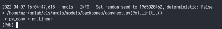 When I use pdb.set_trace() in the code, the procedure never stop ...