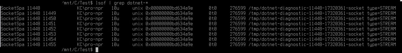 dotnet-diagnostic sockets dont close after application exit · Issue #48214 · dotnet/runtime · GitHub