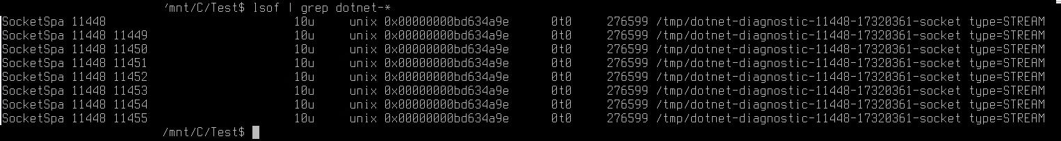 dotnet-diagnostic sockets dont close after application exit · Issue #48214 · dotnet/runtime · GitHub