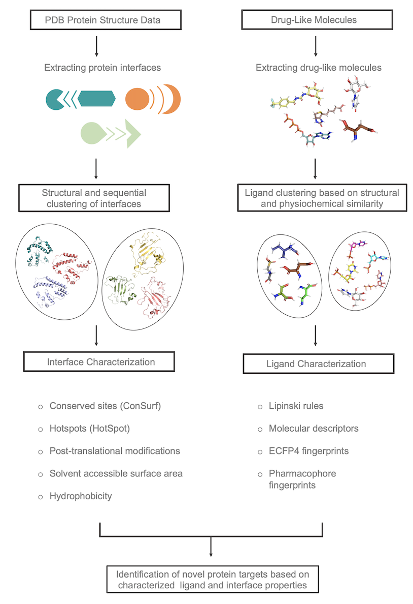 GitHub - ku-cosbi/DiPPI: DiPPI is a website for the investigation of drugs that bind to protein ...