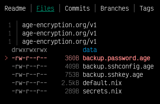 Problem rendering age encrypted files · Issue #238 · charmbracelet/soft-serve · GitHub