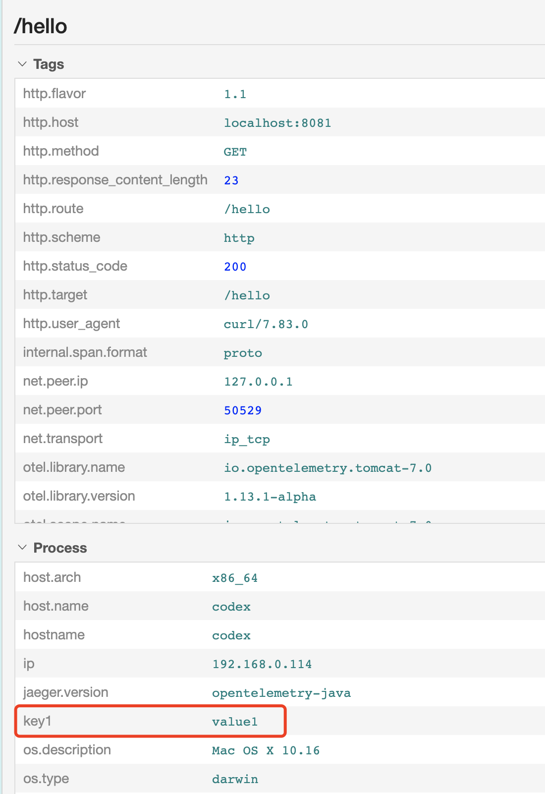 OTEL_RESOURCE_ATTRIBUTES are added to the process instead of the tag in ...