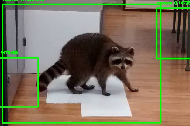 I tried training on the raccoon dataset and it's not working right. What might be the issue ...