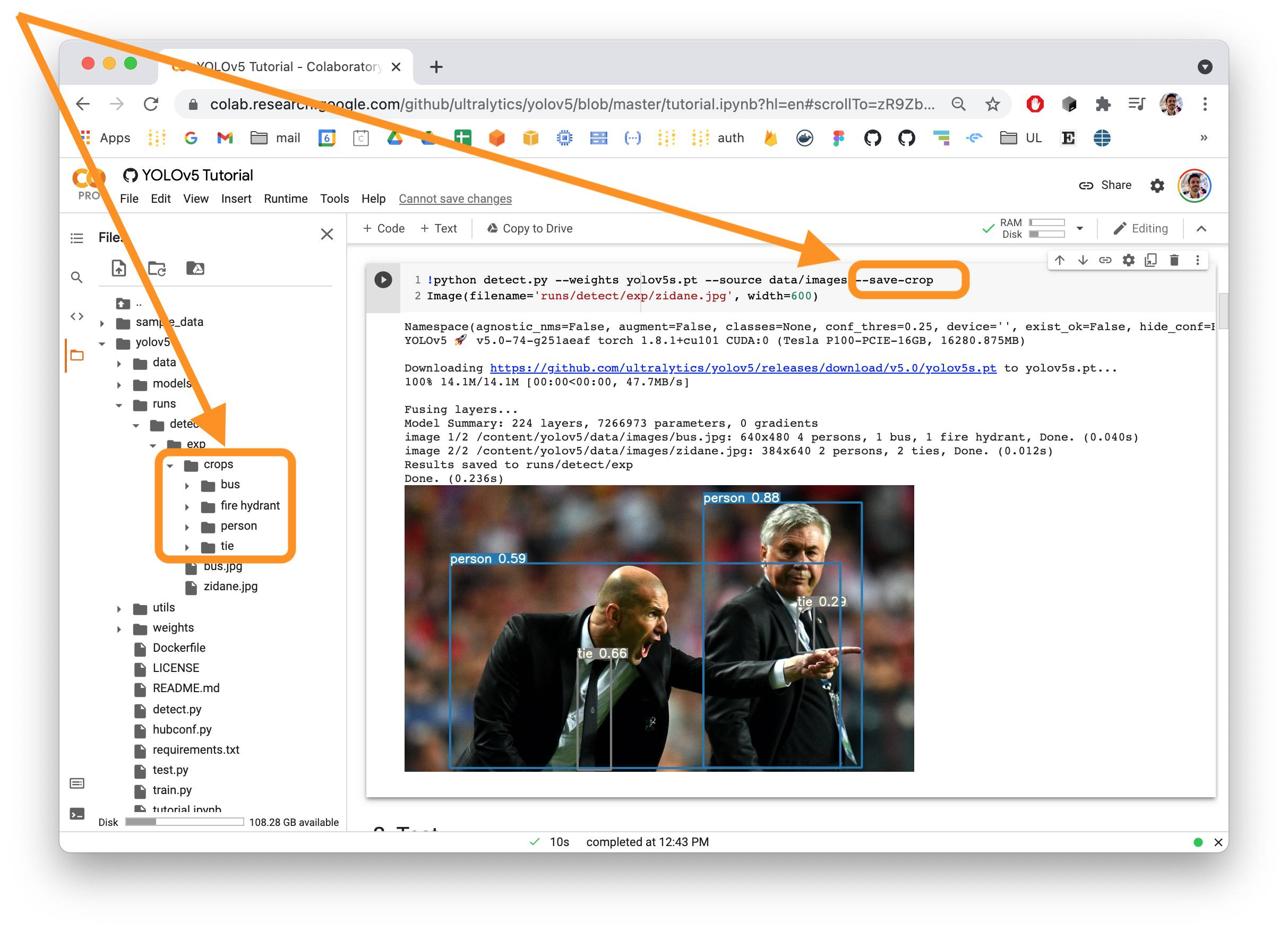 Crop Image Save · Issue #3076 · ultralytics/yolov5 · GitHub