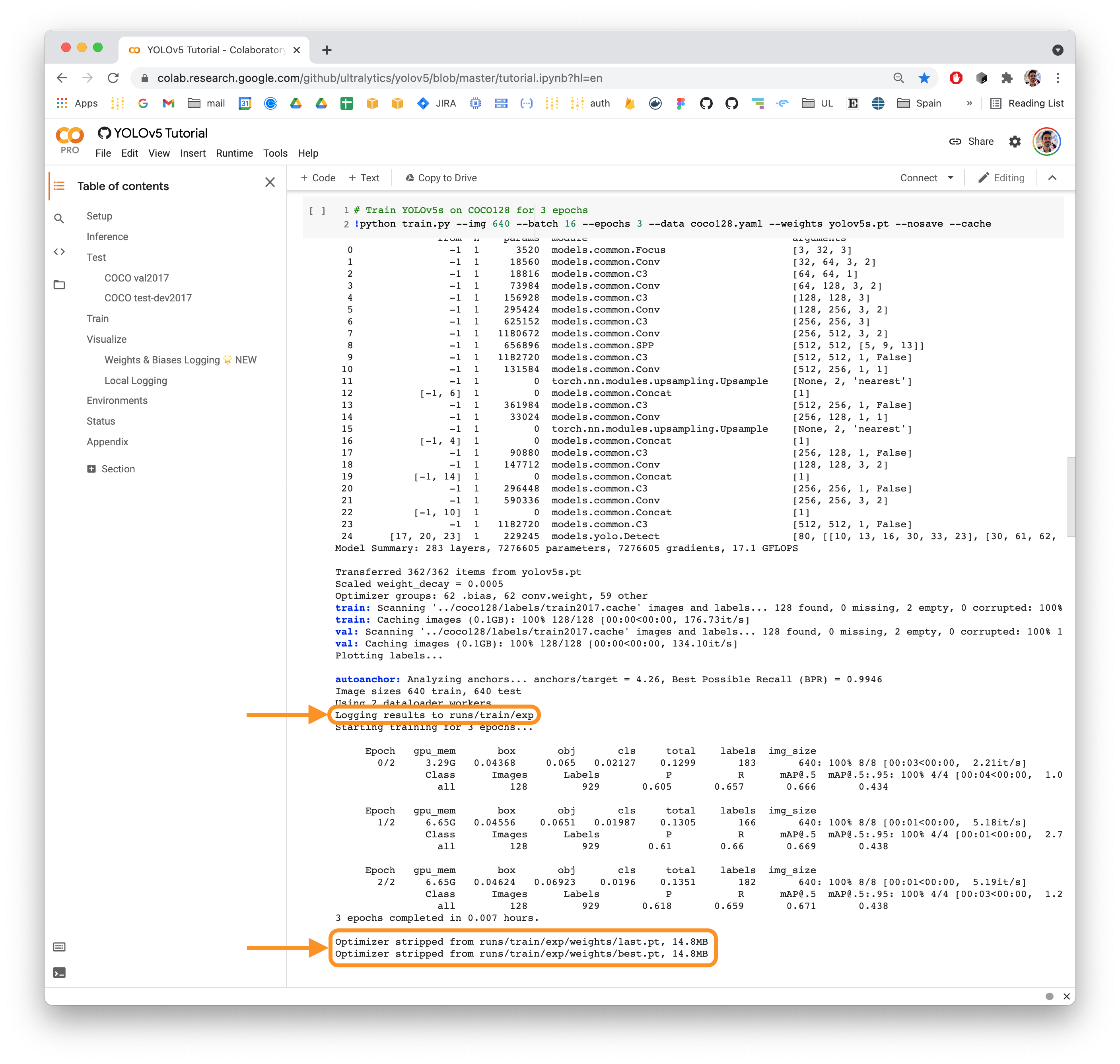 Training & Detecting on a custom dataset with pre-trained weights ...