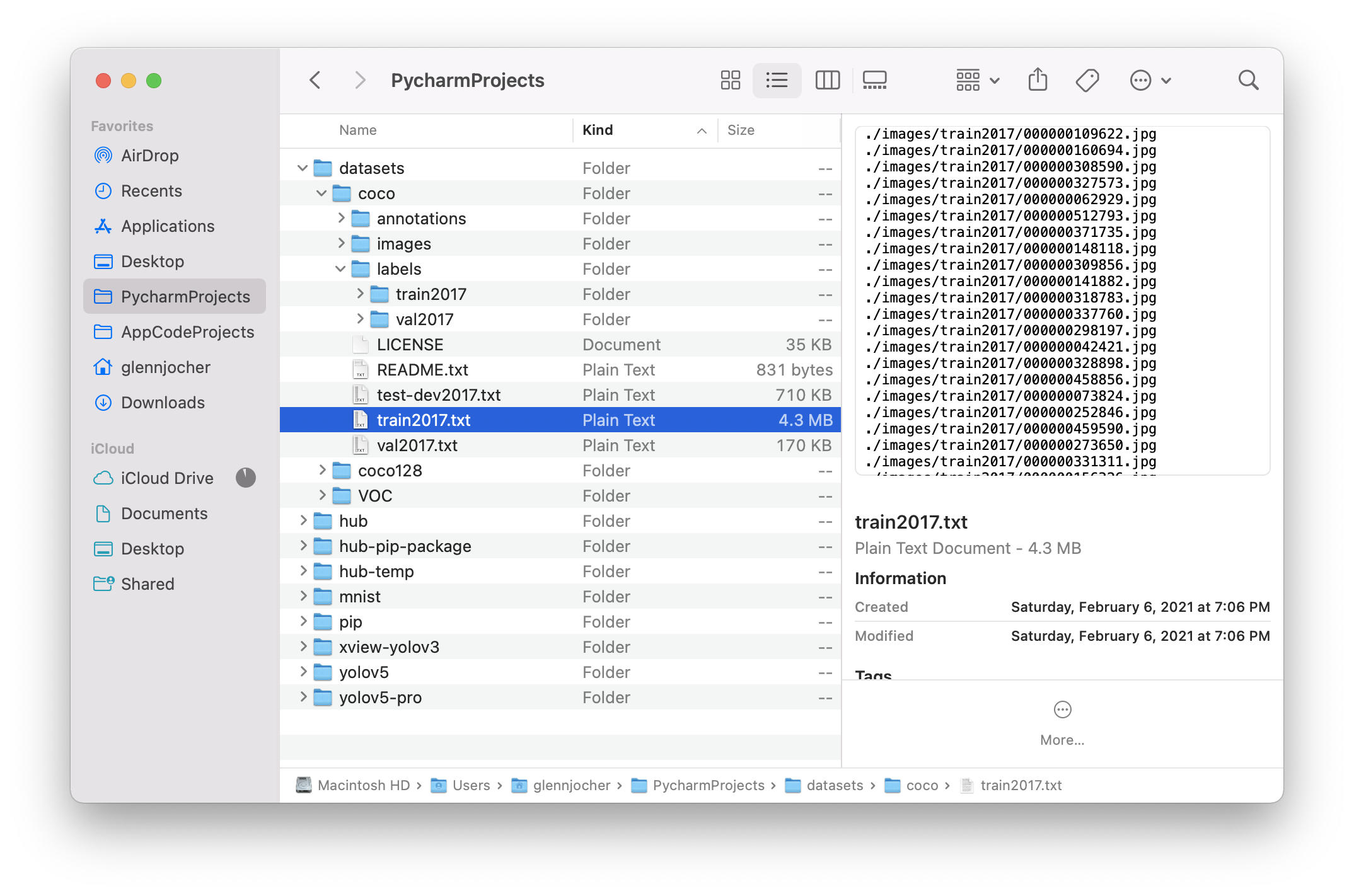 Specification of labels location when training on custom dataset ...