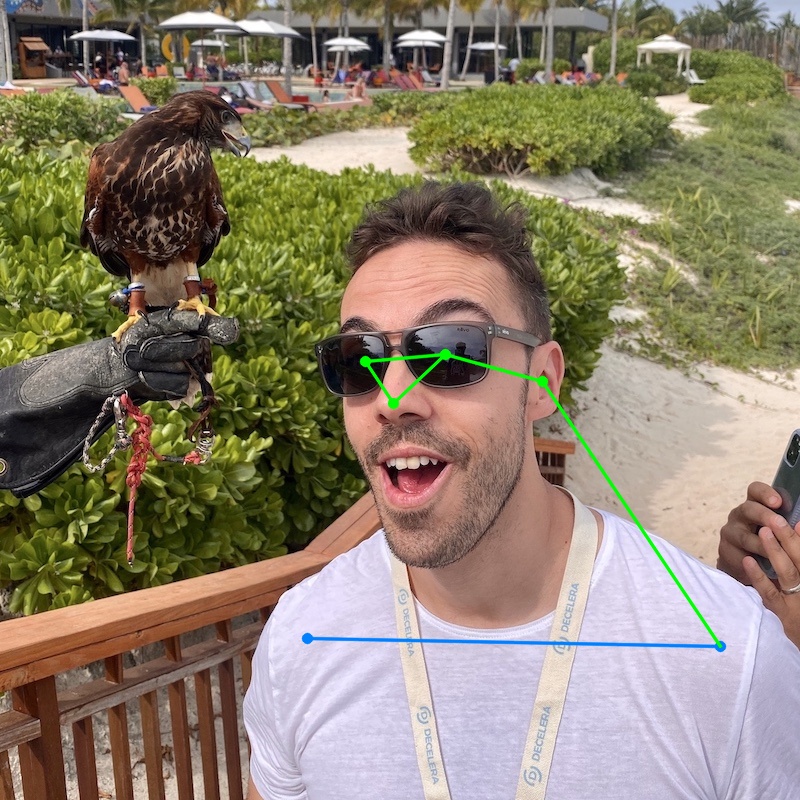 Any Examples On Pose Estimation With Latest Yolov8 Pose Model Released · Issue 1853