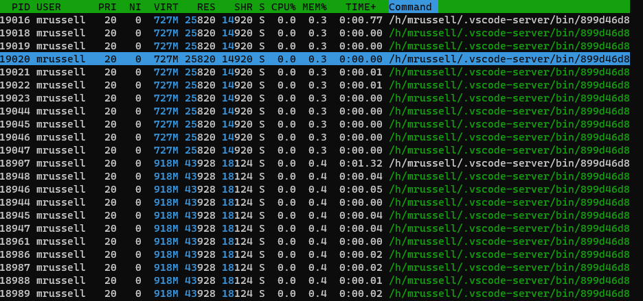 [Remote-SSH] Orphan processes (#262) Still an Issue · Issue #6281 · microsoft/vscode-remote ...