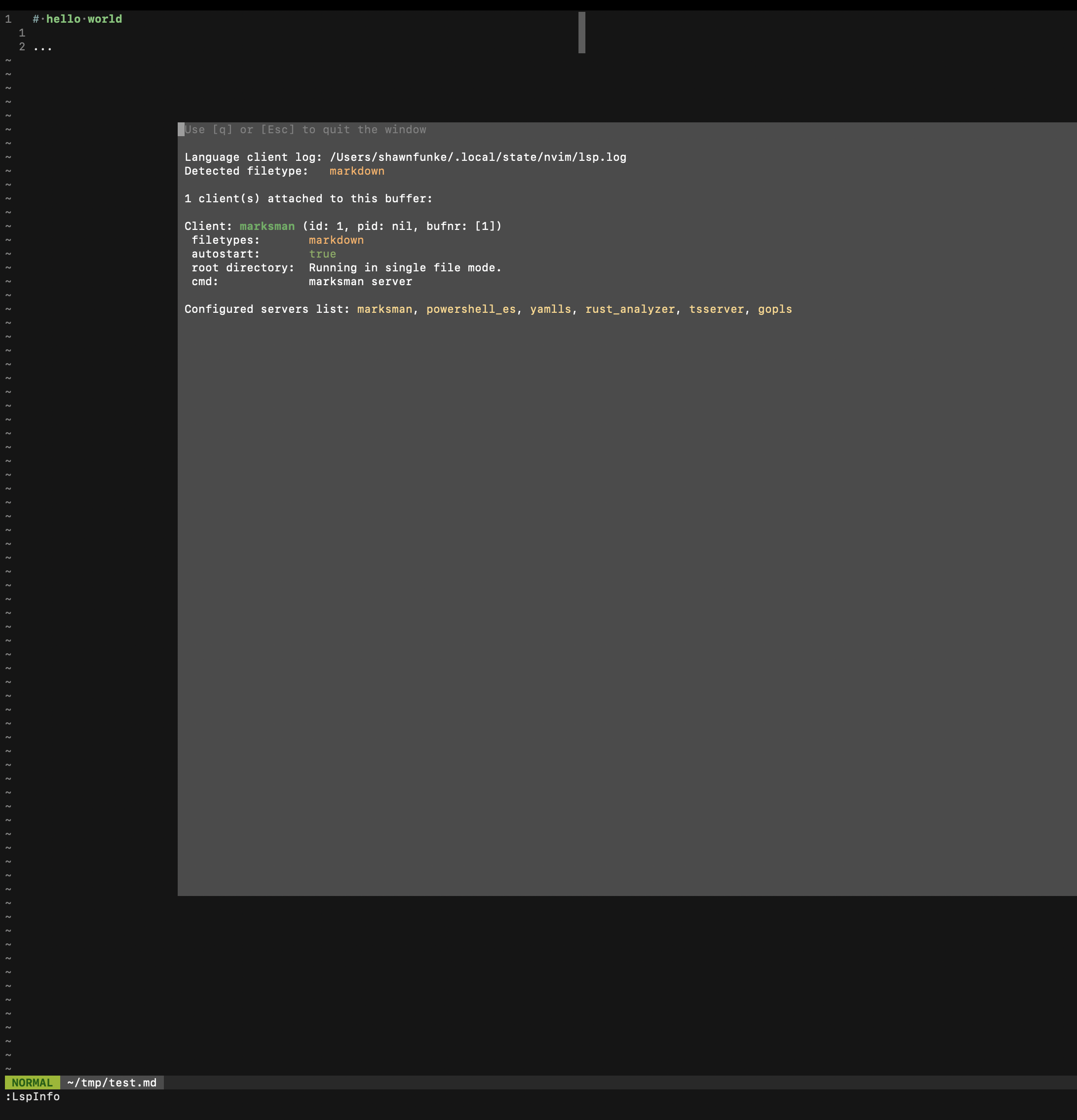 MacOS server does not seem to work · Issue #126 · artempyanykh/marksman · GitHub