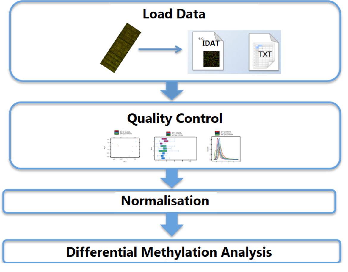 GitHub - TazinRahman1105050/DNA-Methylation: DNA methylation analysis pipeline using limma