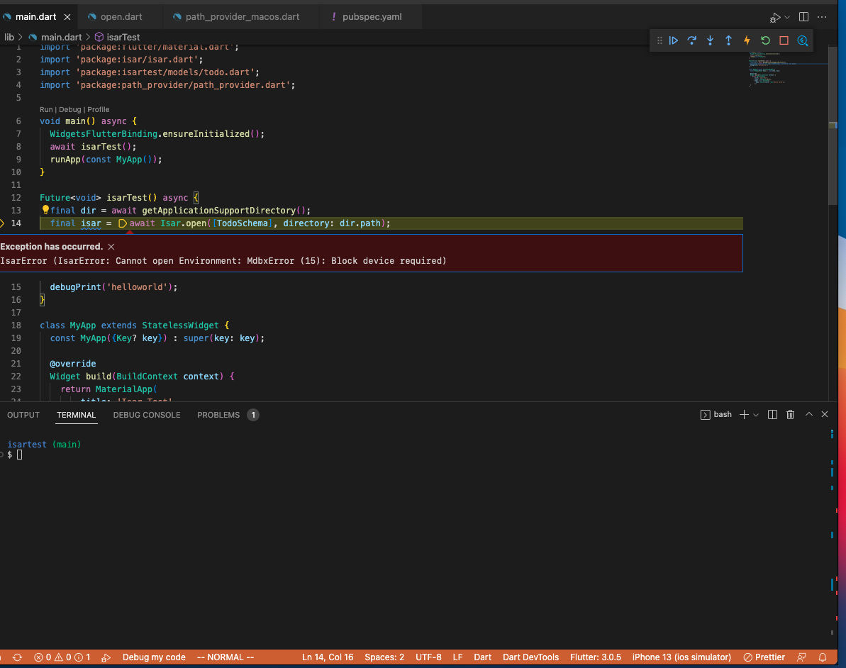 IsarError: Cannot open Environment: MdbxError (75): Value too large for ...