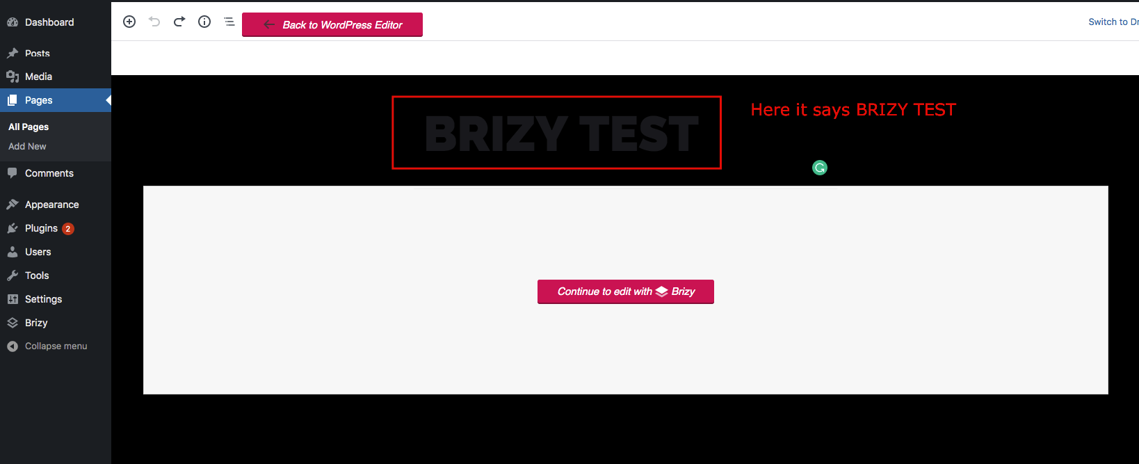 Page title not visible when Brizy is active · Issue #944 · Codeinwp/neve · GitHub
