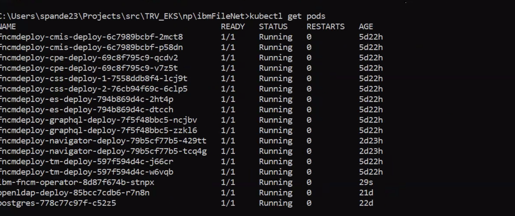 Bug Ibm Fncm Secret Is Incorrect · Issue 10 · Ibm Client Engineeringsolution Filenet Aws · Github 1706