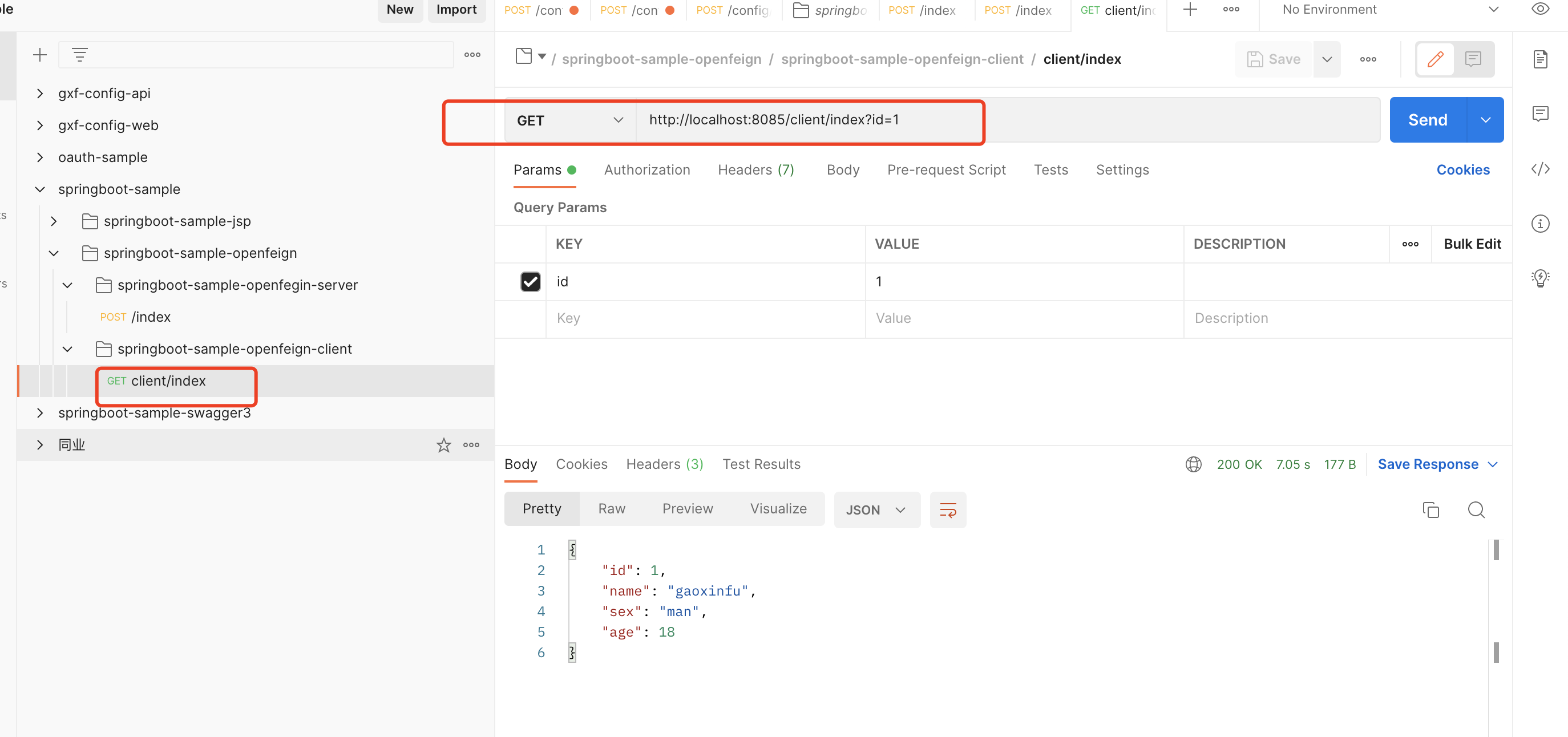 springboot openfeign服务端与客户端调用演示demo_openfeign demo-CSDN博客