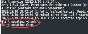 无法从GUI更新V2rayN Xray-core · Issue #2090 · 2dust/v2rayN · GitHub