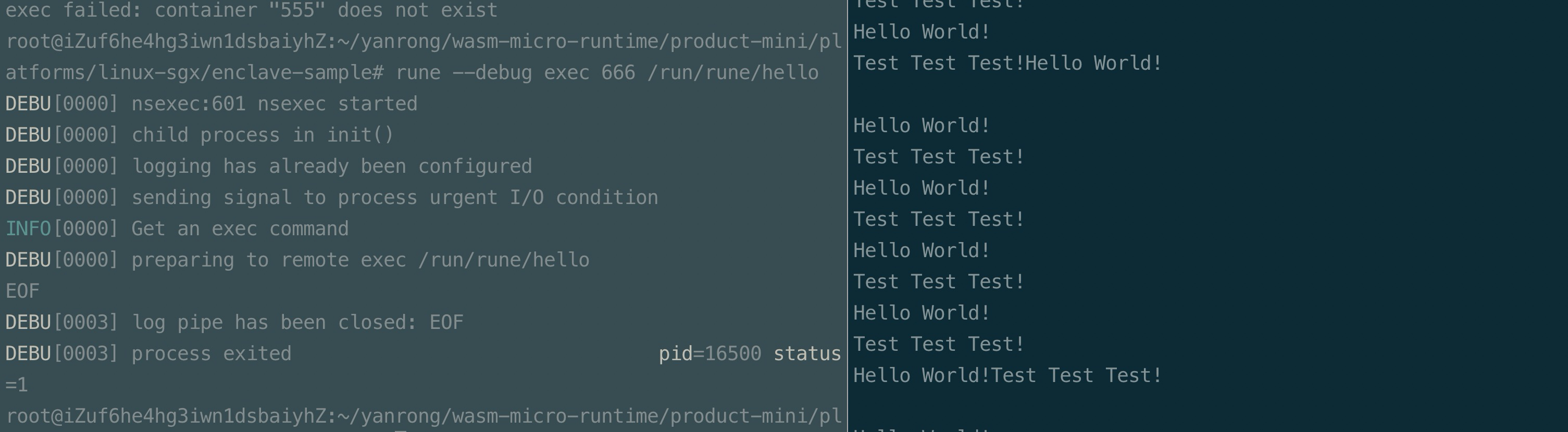 rune: rune exec Warm images does not output on the correct terminal ...