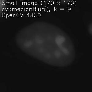 Potential bug in cv::medianBlur() for large images in OpenCV 4.0.0 · Issue #13409 · opencv ...